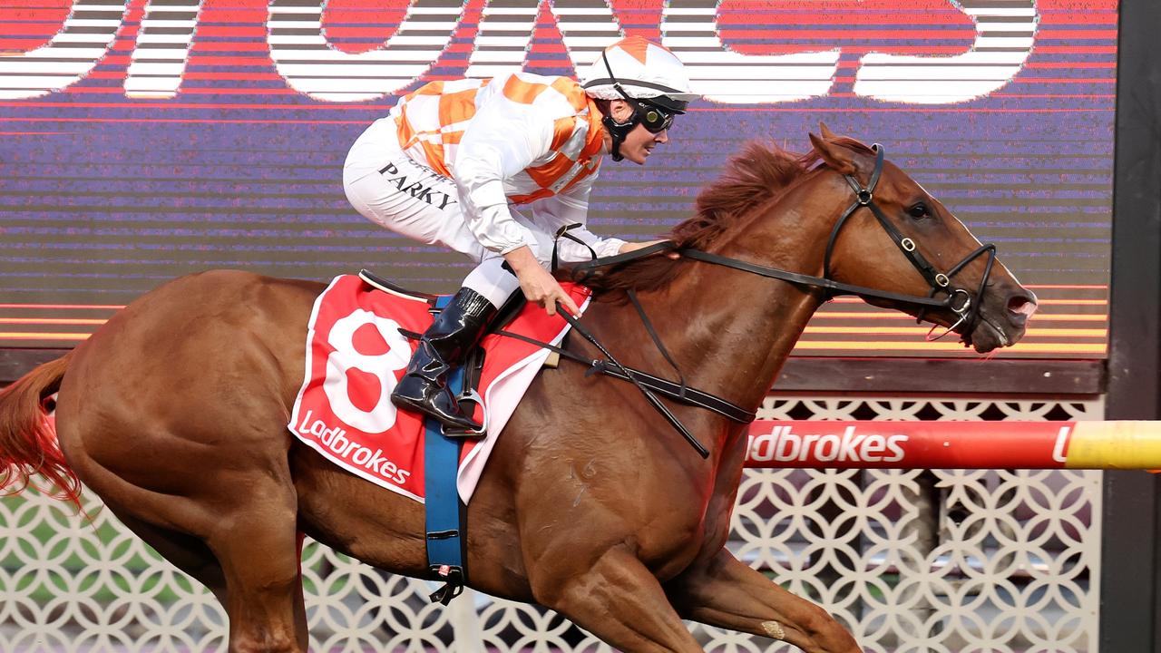Chinese New Year at The Valley 888m sprint: Mutinous firm favourite