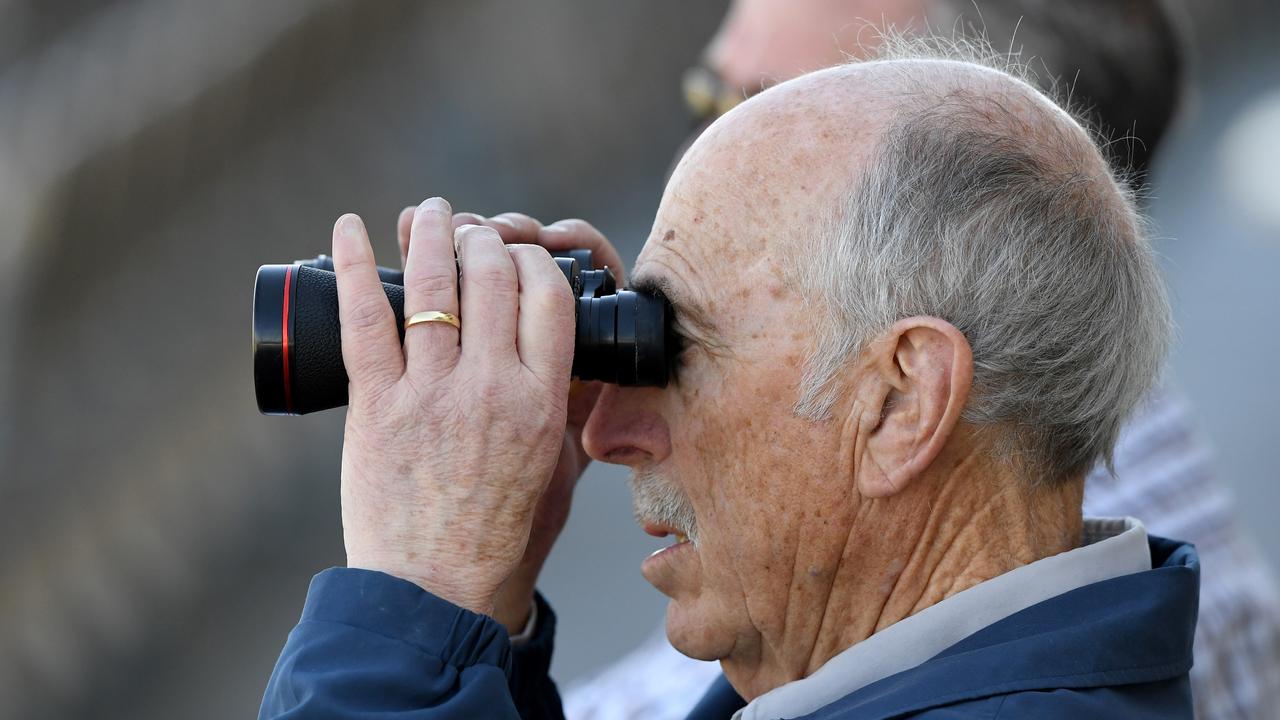 Greg Polson's analysis and selections for Goulburn and Port Macquarie ...