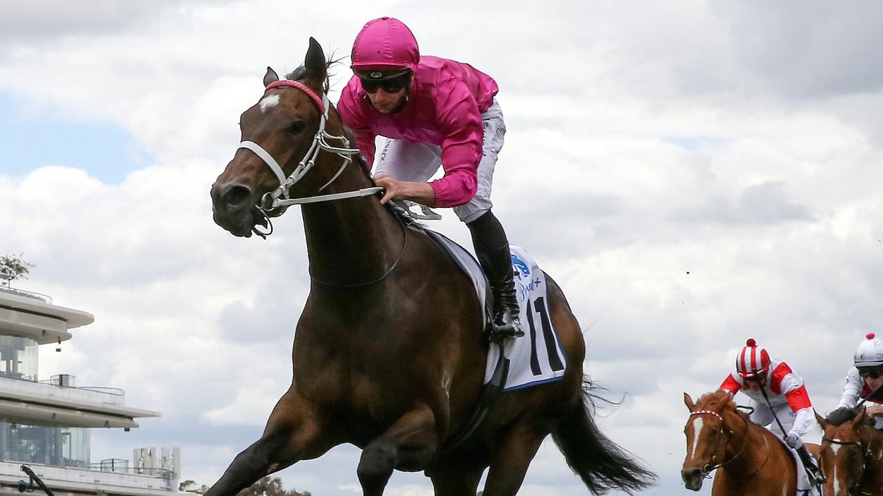 Chris Waller armada to take on Anamoe in the Apollo Stakes