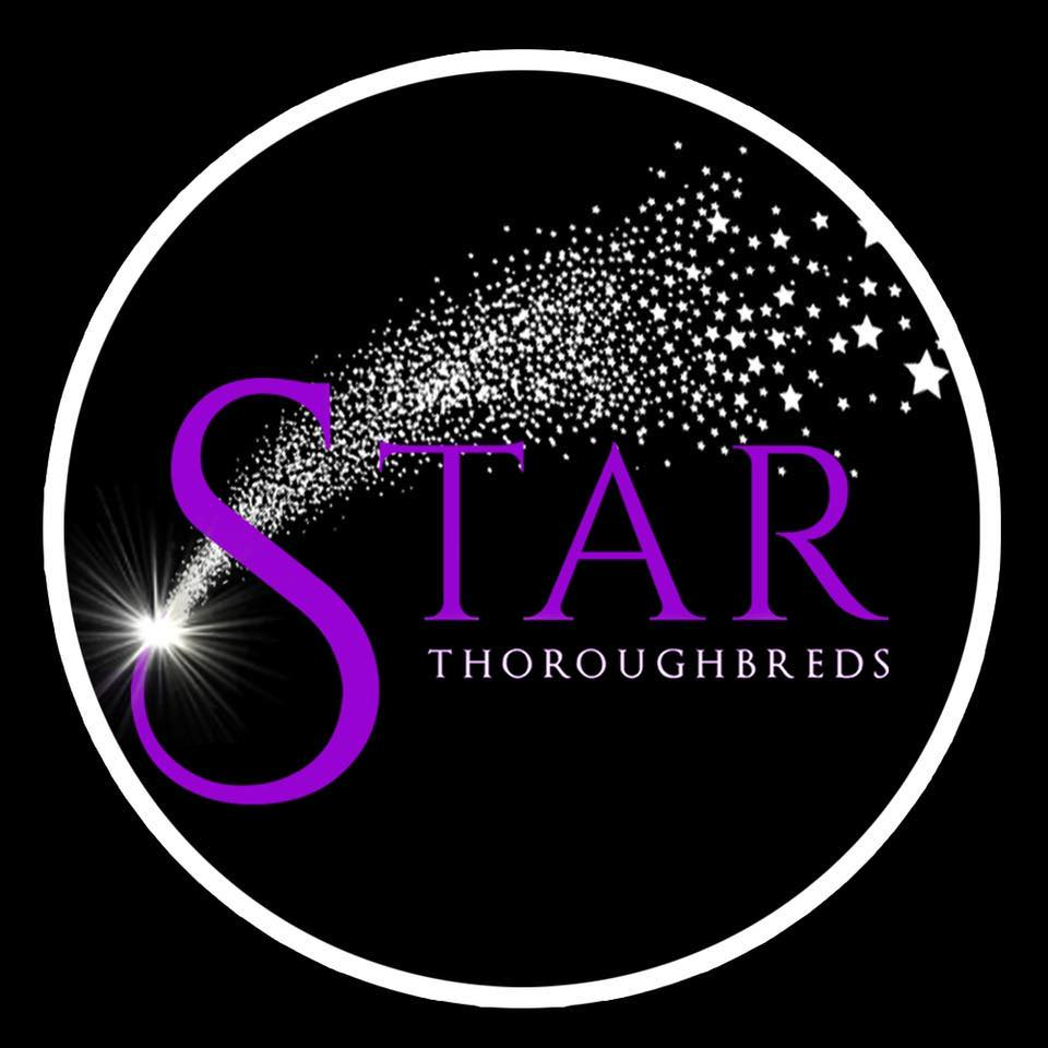 20+ Best Horse Racing Syndicates in Australia - Racenet