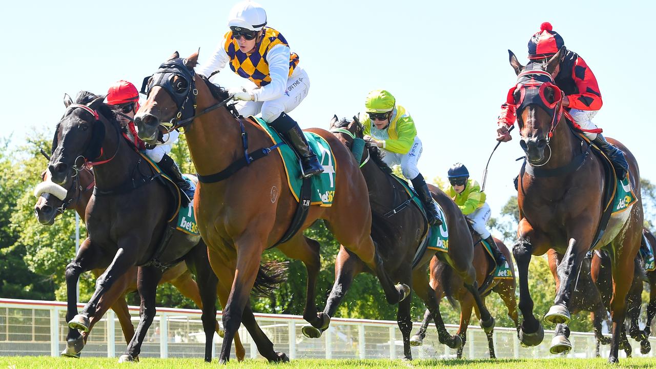 Wodonga tips: Aden able to win again - Racenet