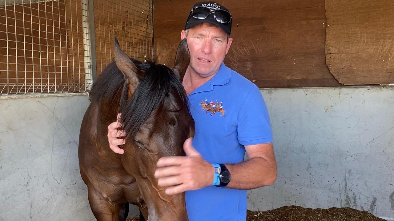 Preview, Tips and Best Bets for Sunshine Coast Sunday, February 19