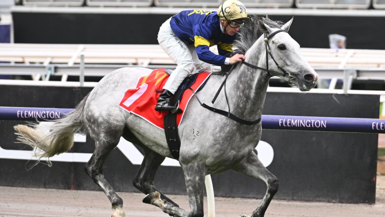 Andrew Ramsden is the race White Marlin will chase a Melbourne Cup ...