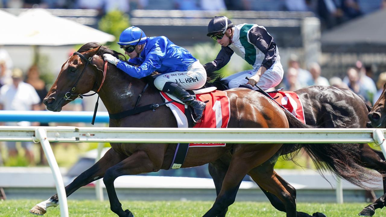 2023 Blue Diamond Stakes final field and barrier draw
