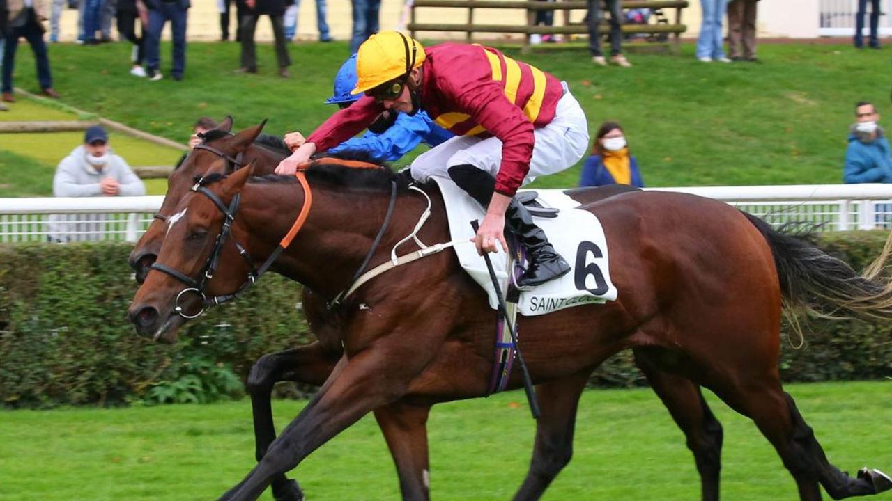 Annabel Neasham import Gear Up set to launch Aussie career