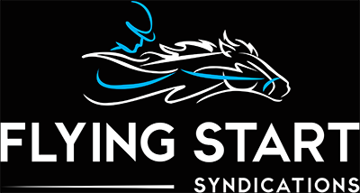 20+ Best Horse Racing Syndicates in Australia - Racenet