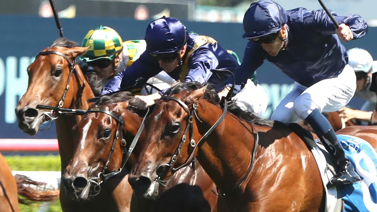 Trainer Michael Freedman concedes Zac Purton only rough chance for ...