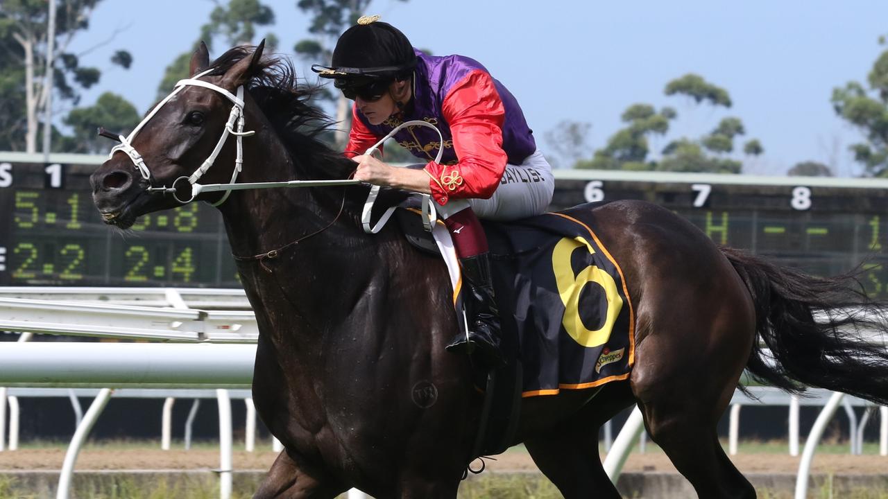 King Charles-owned Chalk Stream set to compete in Adelaide Cup