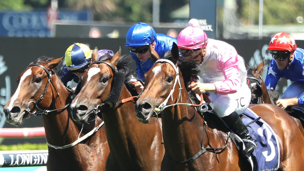 Runner-by-runner analysis for the 2023 Coolmore Classic