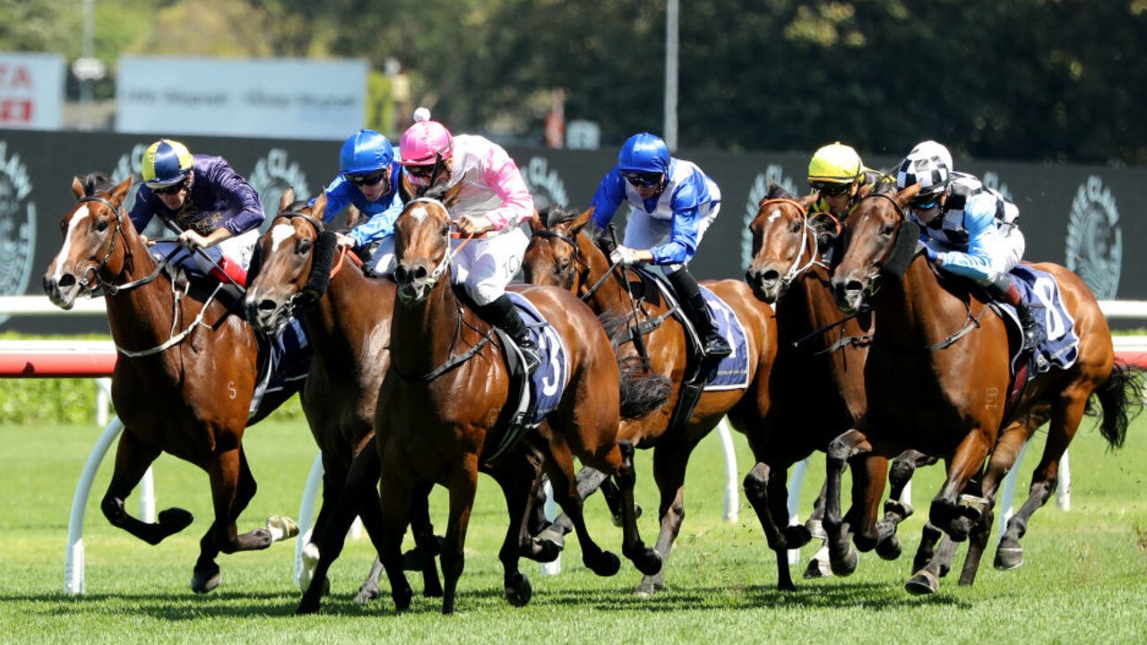 Coolmore Classic: Double-figure chance to land the prize