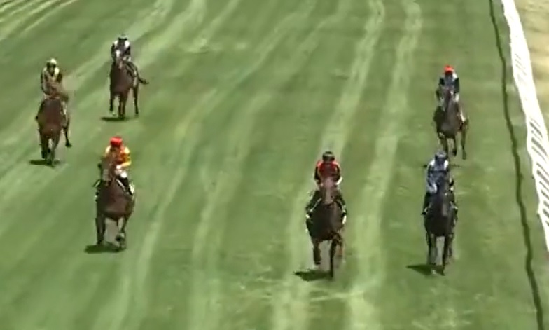 Punters outraged after horses allowed to run after false start