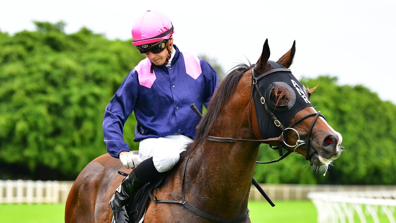 Manhood strikes after gelding operation