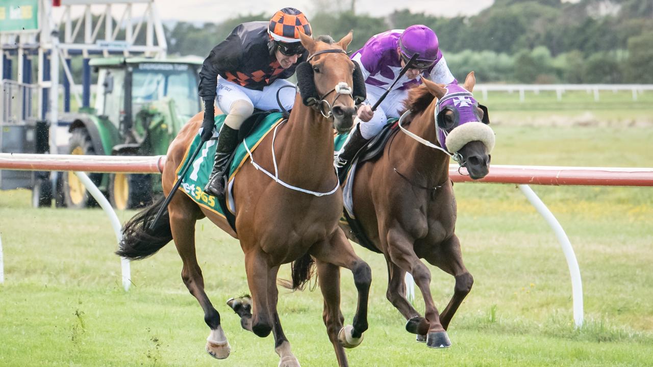 Terang tips Friday: Musgrave the man for punters - Racenet