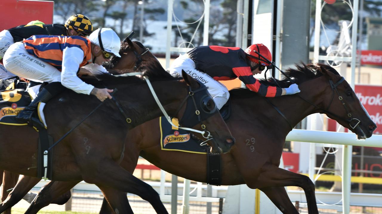 Dunkel to boost derby prospects in Saturday's Group 2 Alister Clark ...