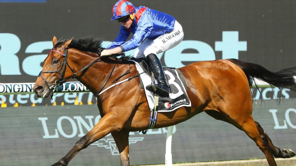 The trend that's dominating weight for age racing in 2023 - Racenet