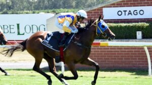 Wingatui Racecourse - Form Guide, Track Map, Tips & Results