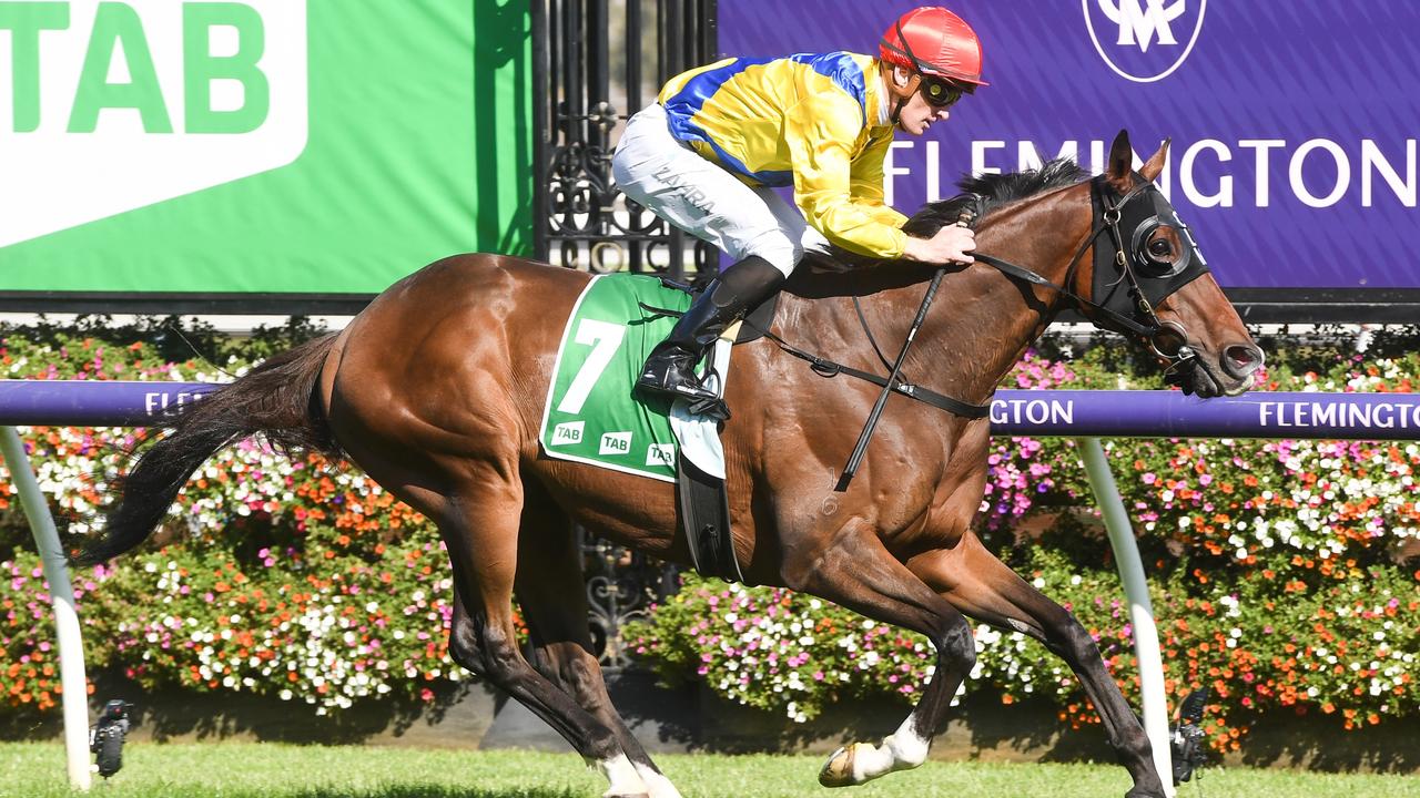 Final fields, barrier draws: William Reid Stakes and Australian Cup