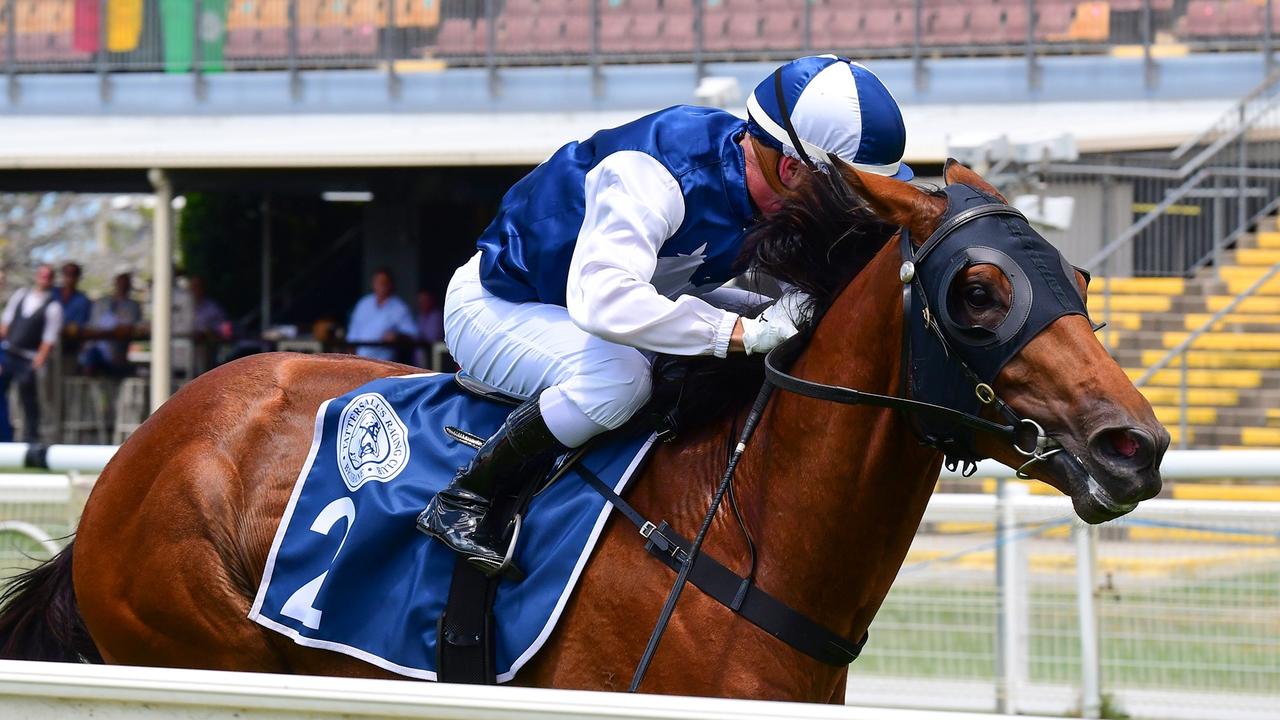 Felix The Scat bound for Group 1 Champagne Stakes at Randwick