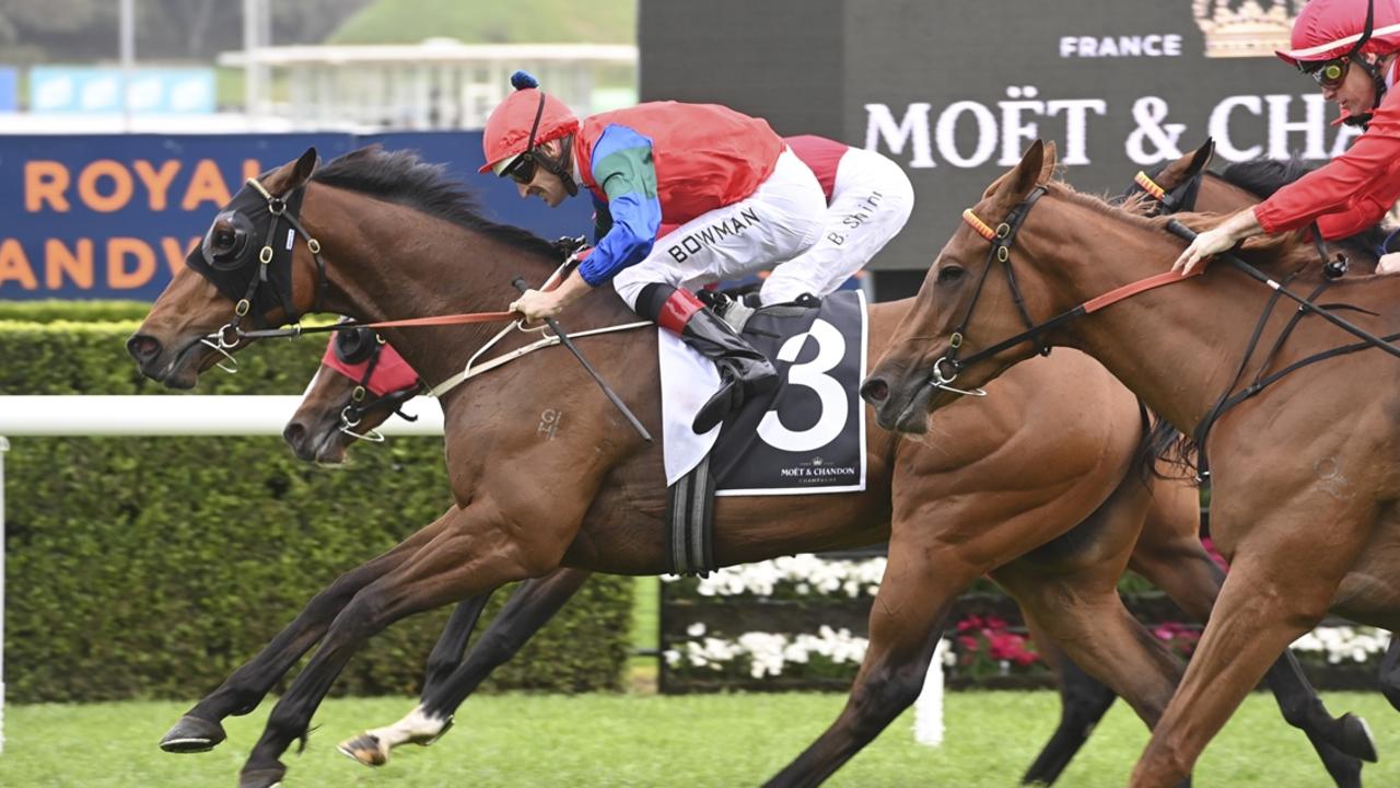 2023 Australian Derby field and barrier draw