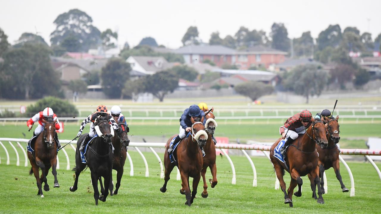 Pro punter The Guru's race-by-race preview for Sandown