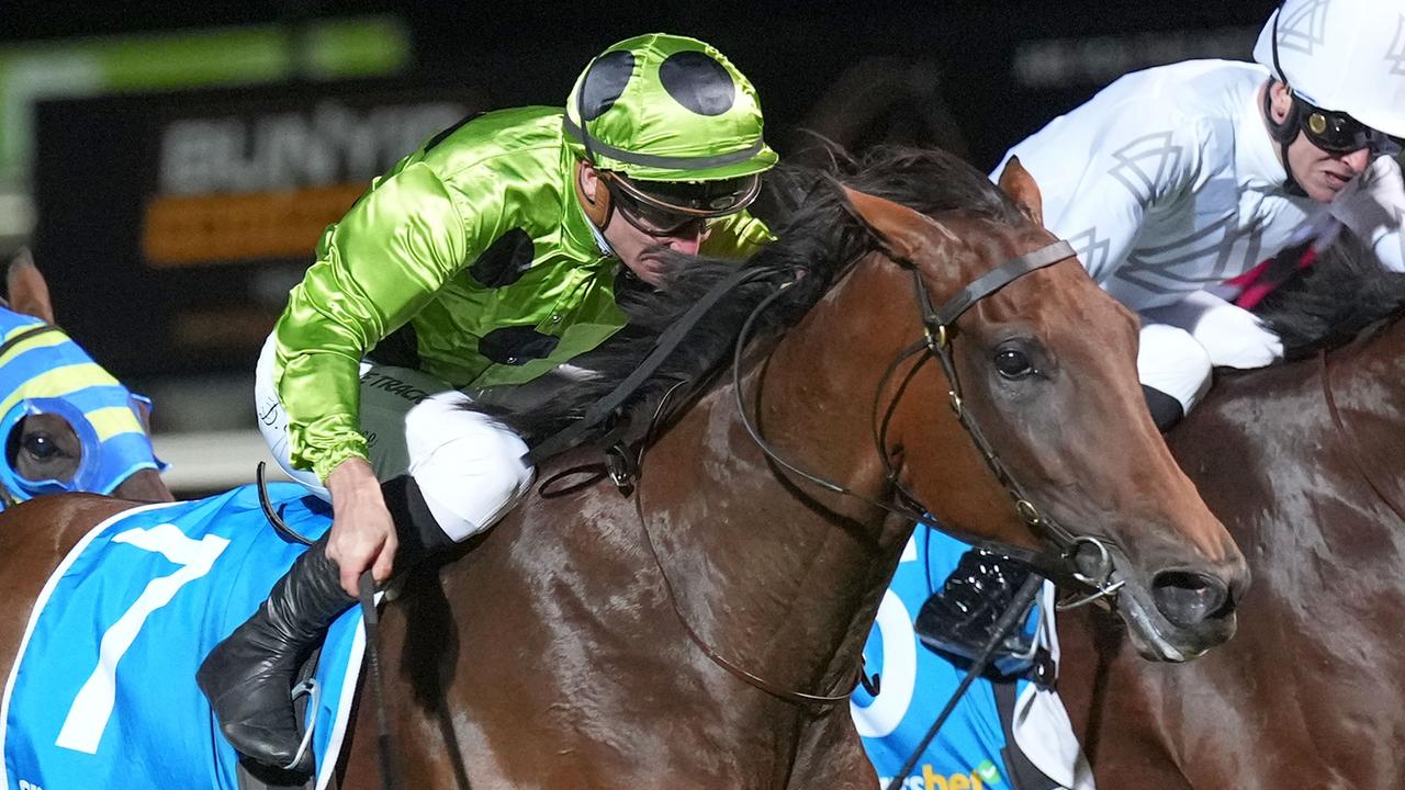 Jockey Daniel Stackhouse to ride Marble Arch again in Saturday's Bendigo Guineas