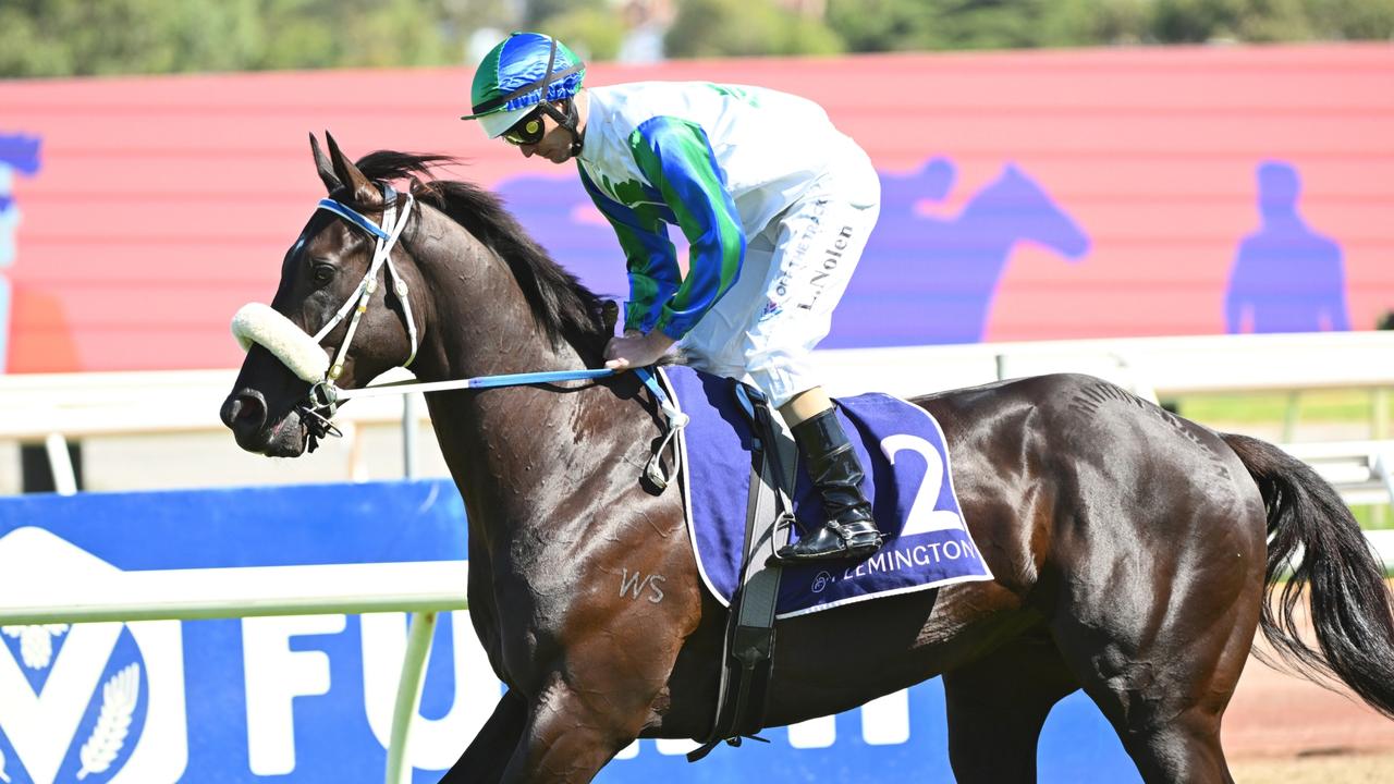 Owner to watch I Wish I Win in TJ Smith from New Zealand jungle
