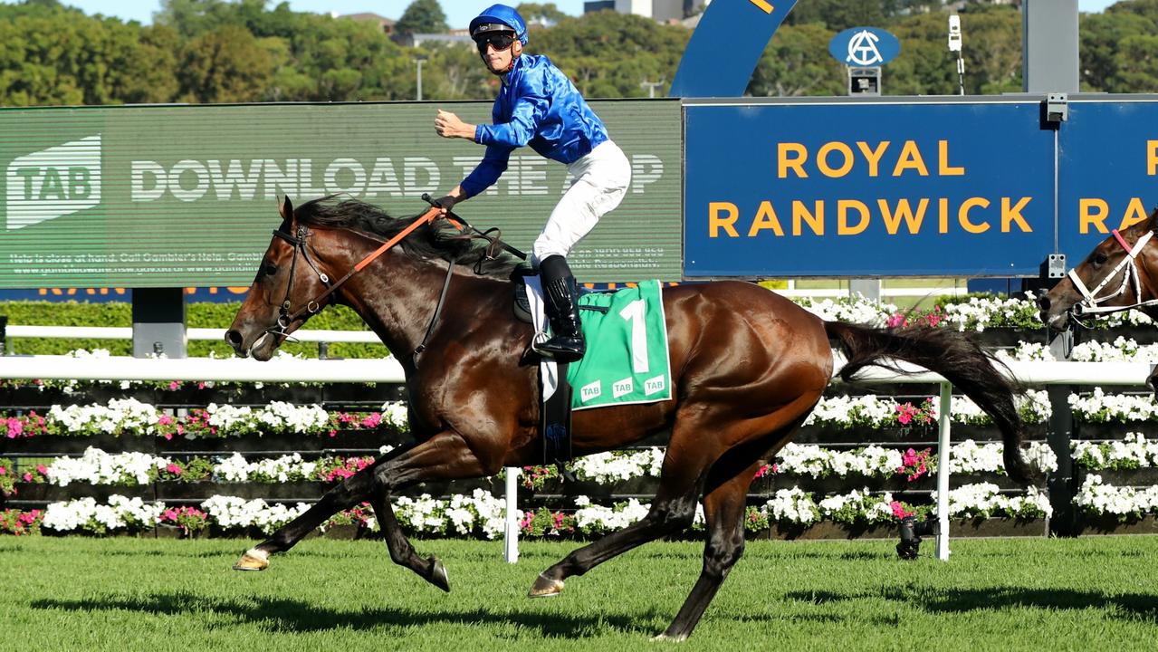 Anamoe to chase most Group 1s in a season since Winx