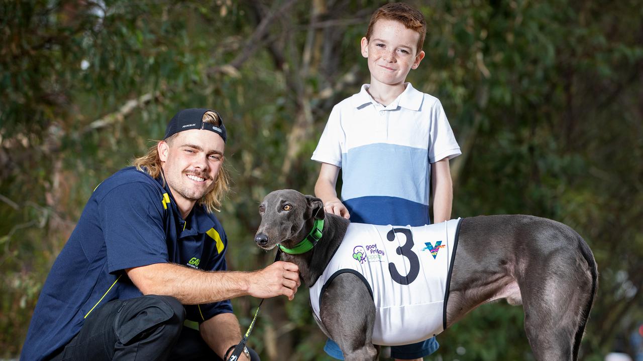 Victorian greyhounds racing for a grand cause on Good Friday - Racenet