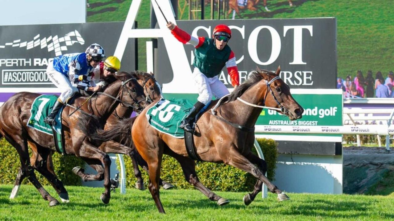 Trainer Simon Miller explains just what makes Amelia's Jewel so special ...