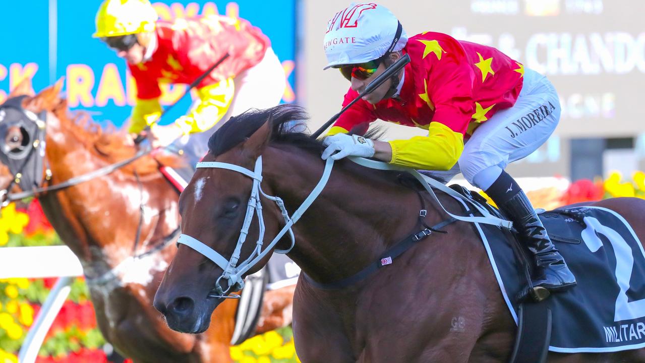 2023 Champagne Stakes result and replay with Militarize scoring ...