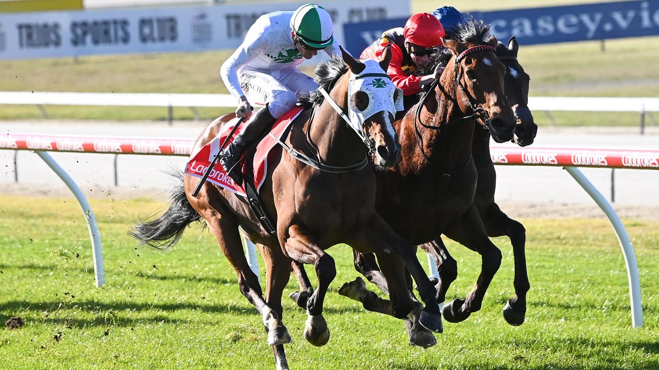 Richard Laming-trained Pure Deal the best bet of Sunday's Pakenham ...