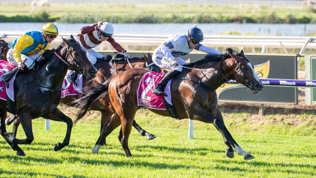 Bruce Clark's column: The group behind Overpass' Quokka slot