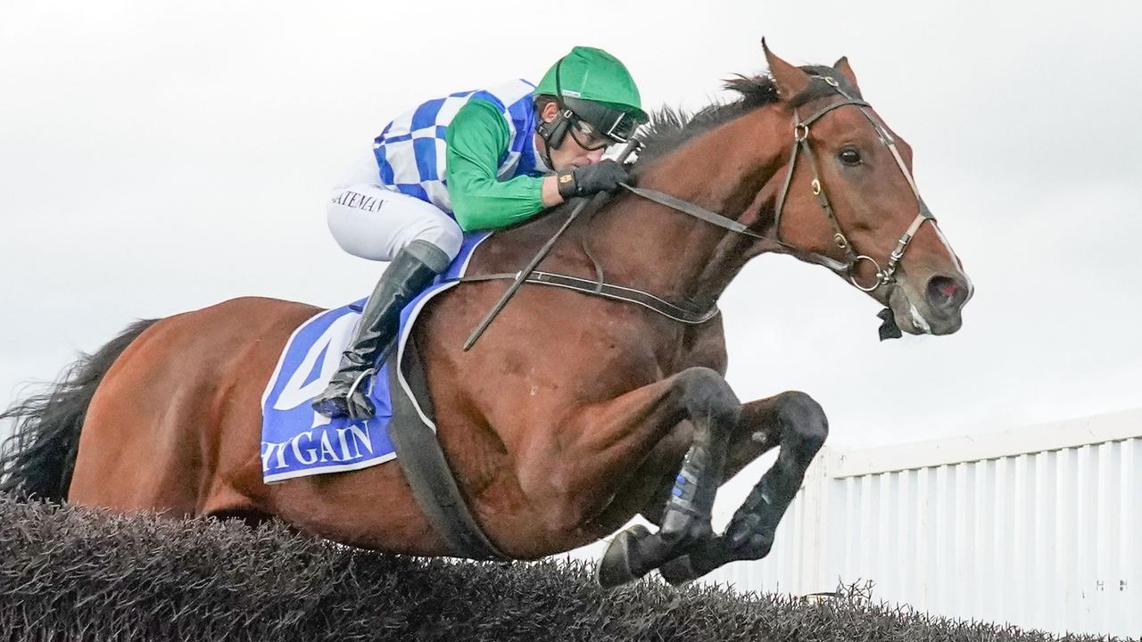 Stern Idol to miss Brierly Steeplechase and go straight to the Grand ...