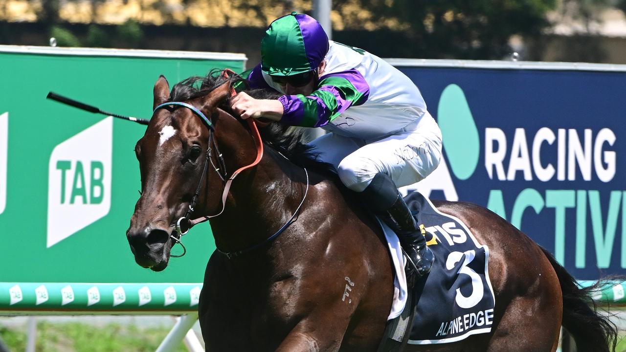 Alpine Edge can bounce back in The Archer after first-up flop