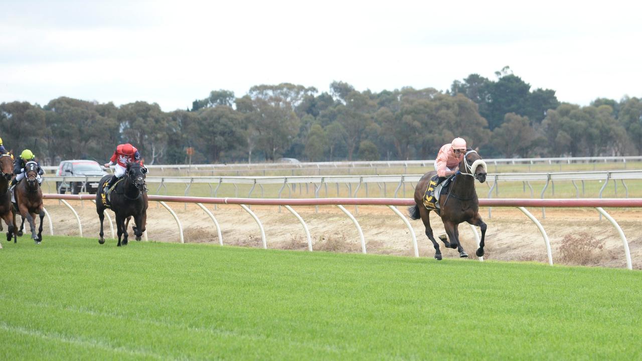 Black Caviar's son demolishes rivals for emphatic maiden win
