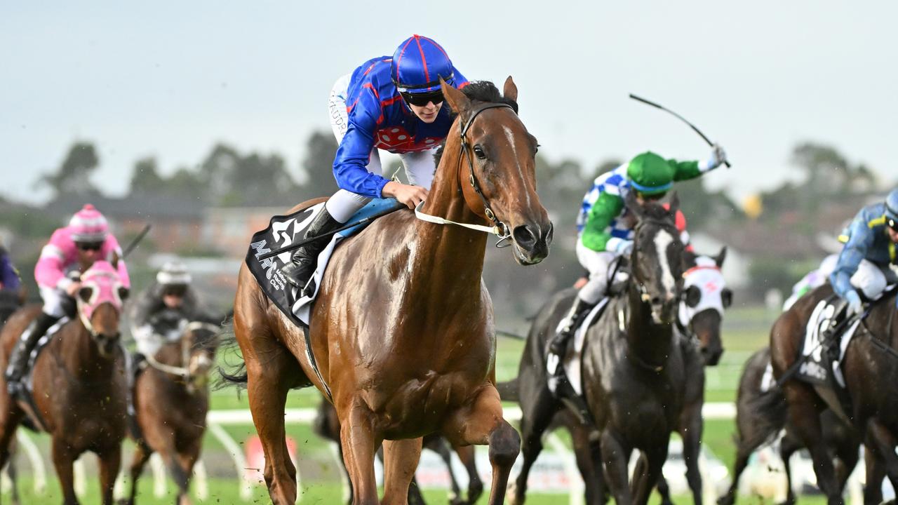 Unbeaten Globe shines again in King's Coronation Cup