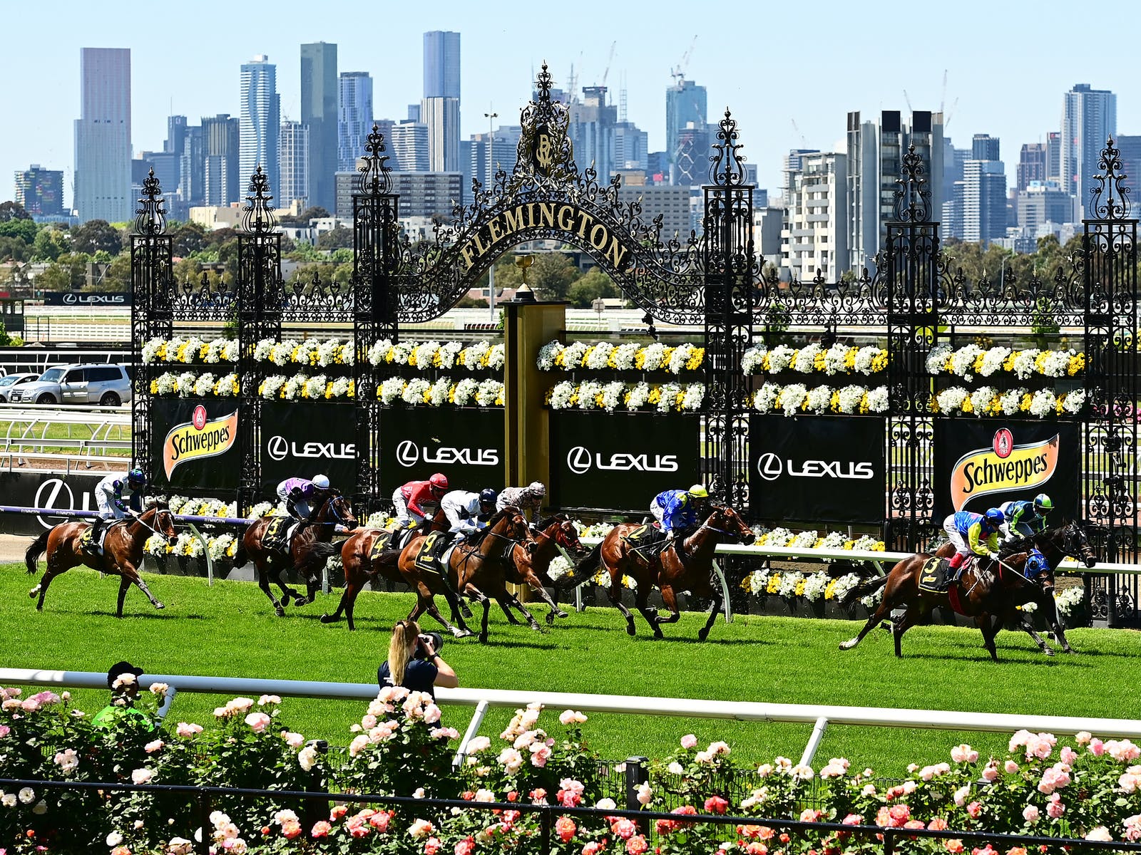Horse racing tips and best bets for Flemington