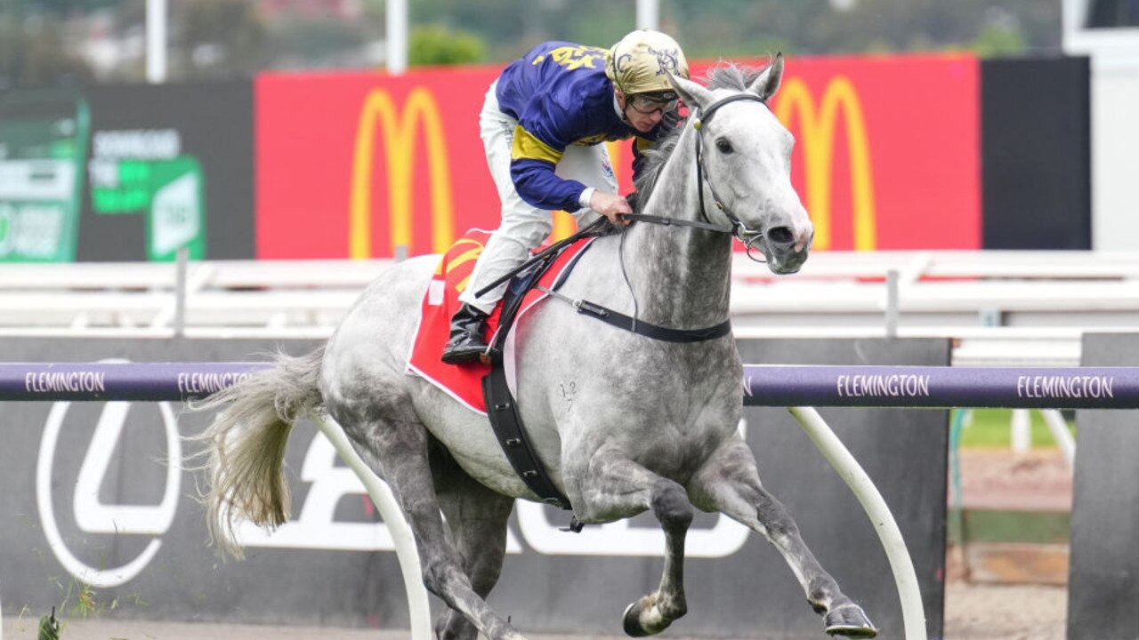 Boom import White Marlin to atone in Andrew Ramsden at Flemington