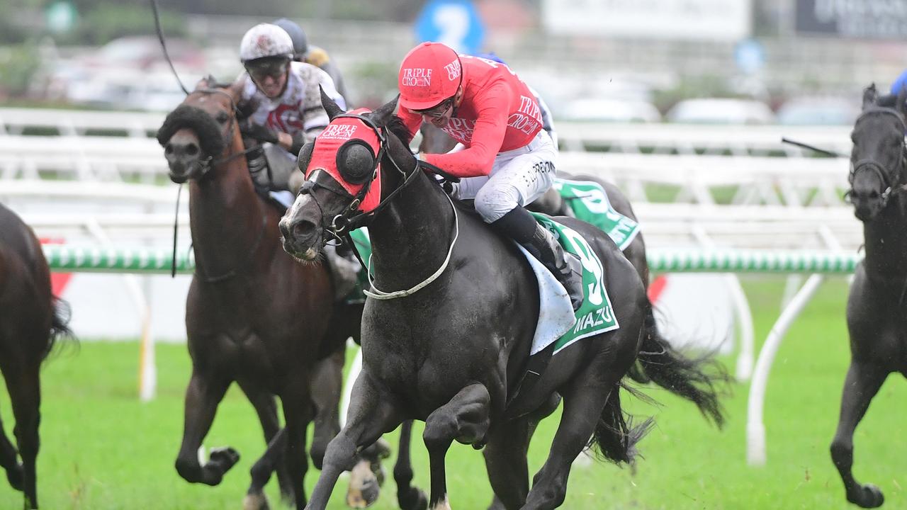 Runner-by-runner form analysis and tips for the Doomben 10,000