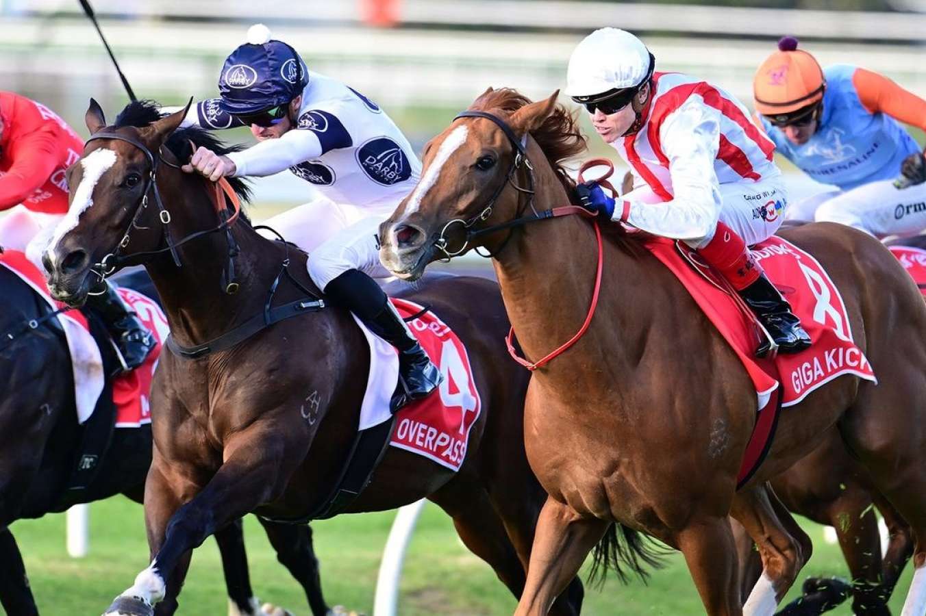 Doomben 10000 2024 - Tips, Odds, Field & Results - Racenet