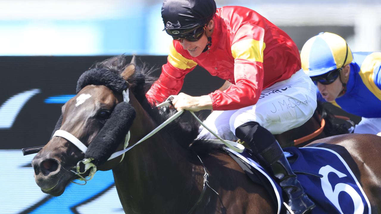 Welsh Legend can make statement for new trainers Rob and Luke Price