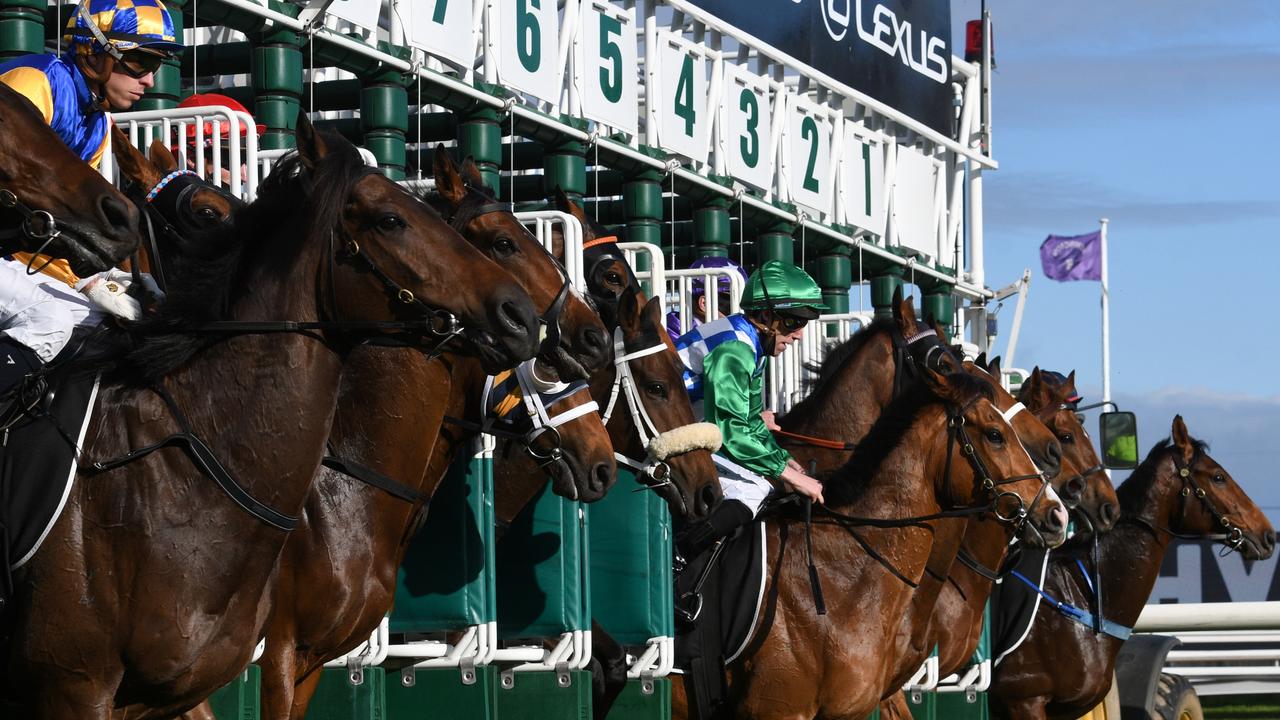 Racing Victoria scraps fees plan but trainers, owners still pay