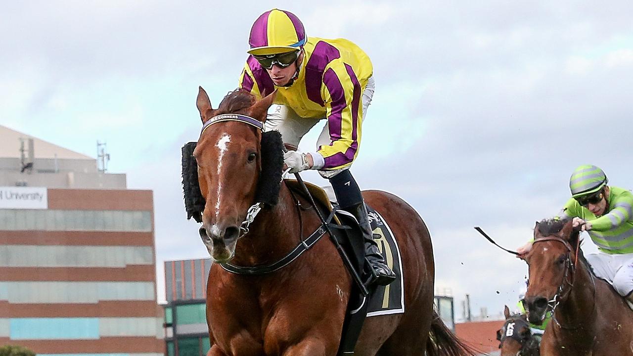 Rosehill tips: Ray Thomas and Ron Dufficy best bets, preview