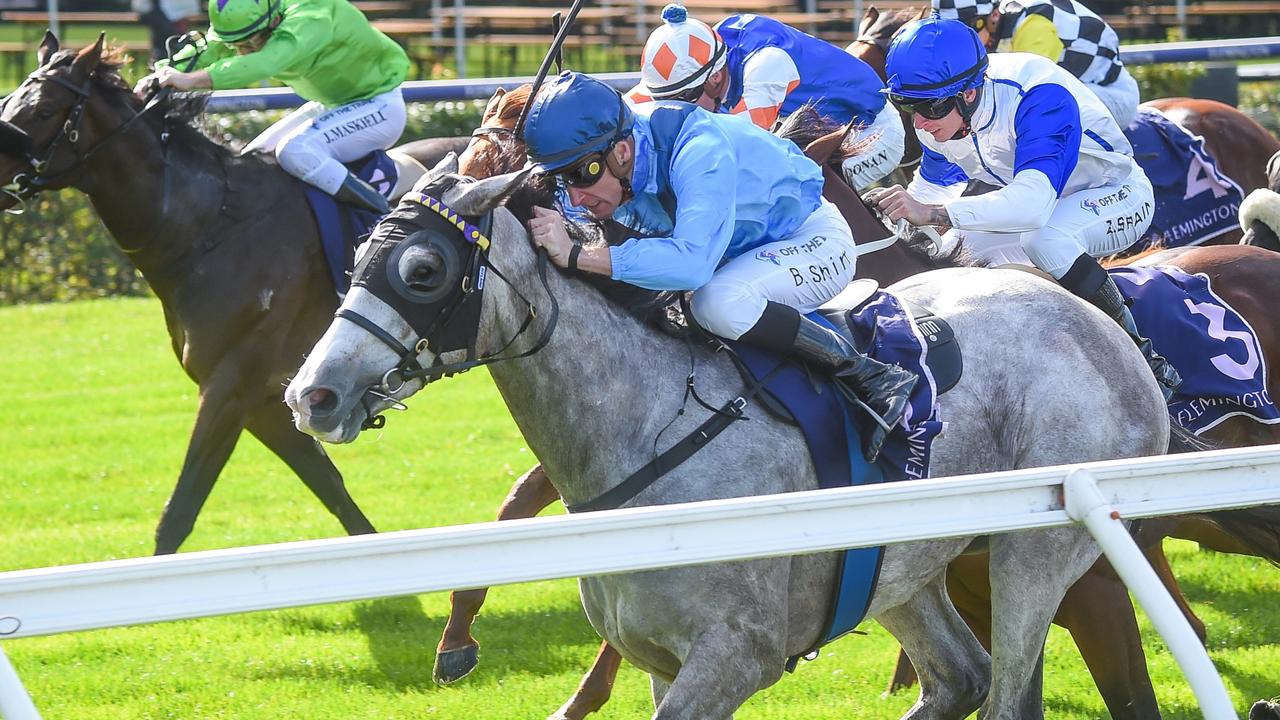 Le Zebra earns stripes for trainers with Flemington win