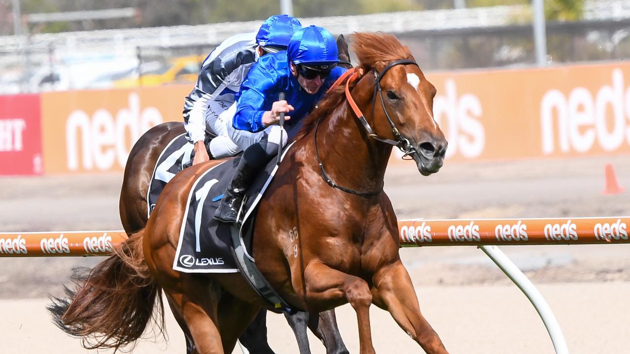 Paulele could have final start in Kingsford-Smith Cup at Eagle Farm