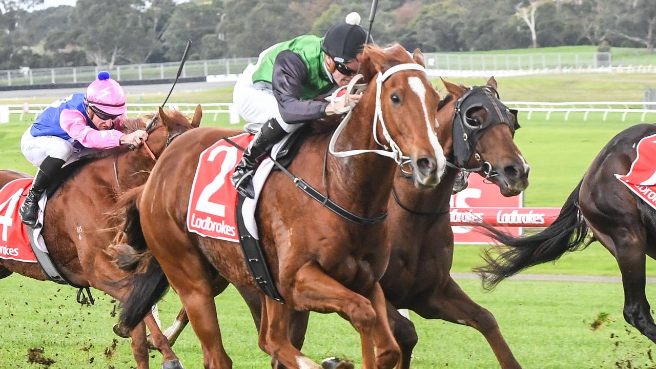 Trainer-hairdresser chasing first stakes win with Pintoff