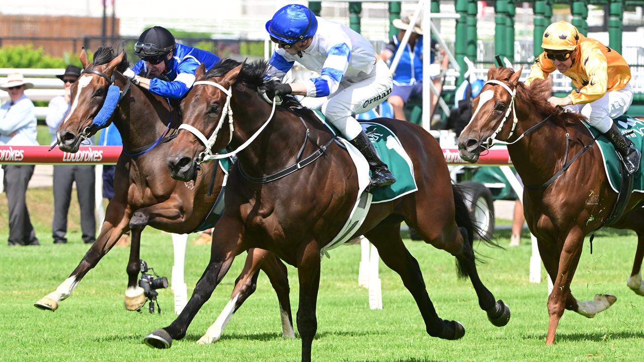 Runner-by-runner analysis for the Group 1 Queensland Derby