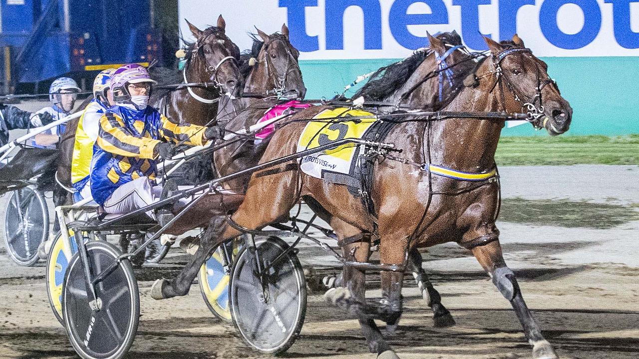 Harness racing: Matty Craven still unsure on plans for Queensland raid