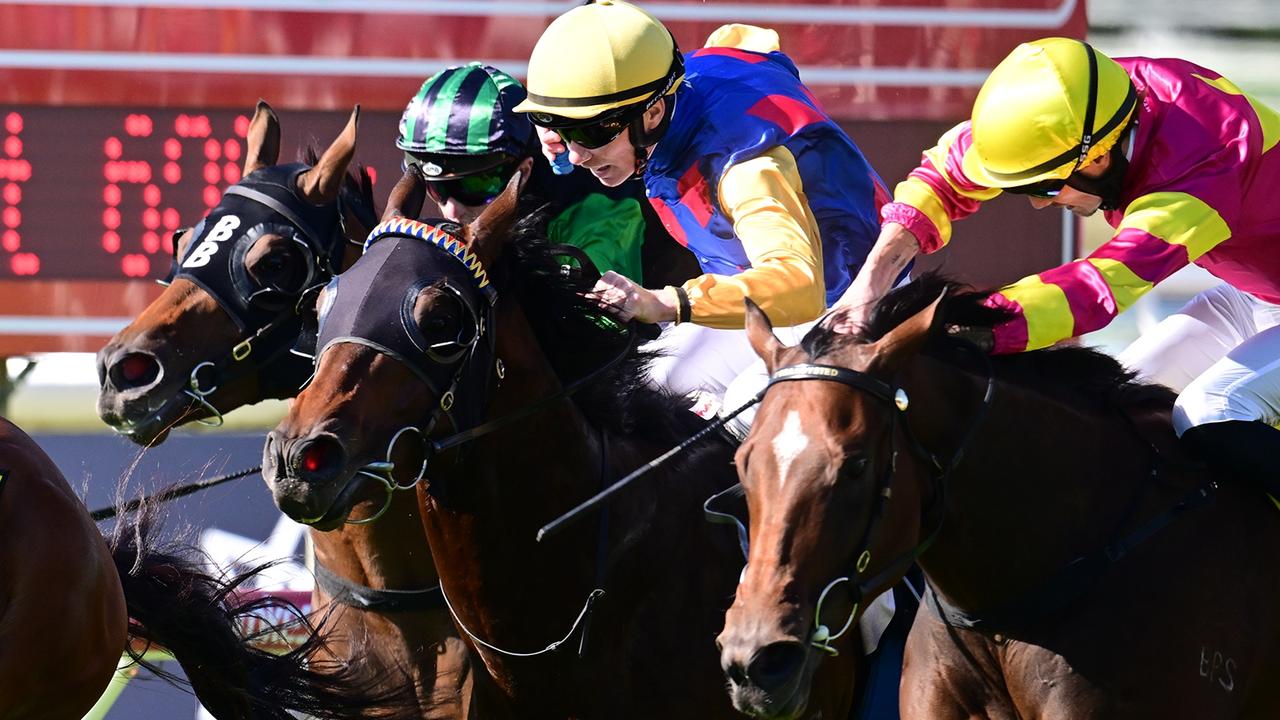 Rex Lipp embraces underdog role in Sires' Produce