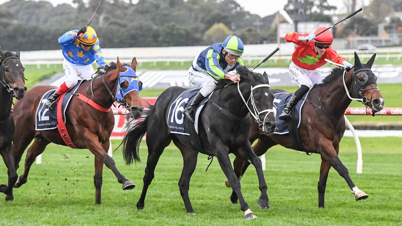 Monday Racebook: Horses to follow and forgive from Sandown